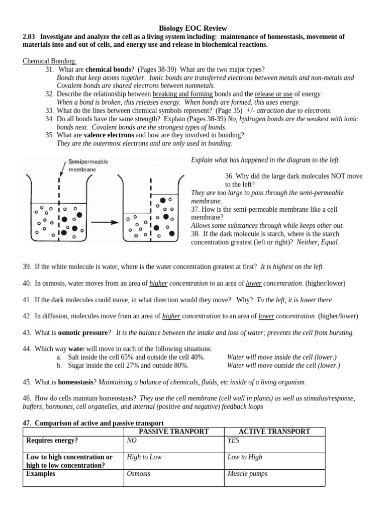 Review Packet 2 EOC Review 2014answers | PDF