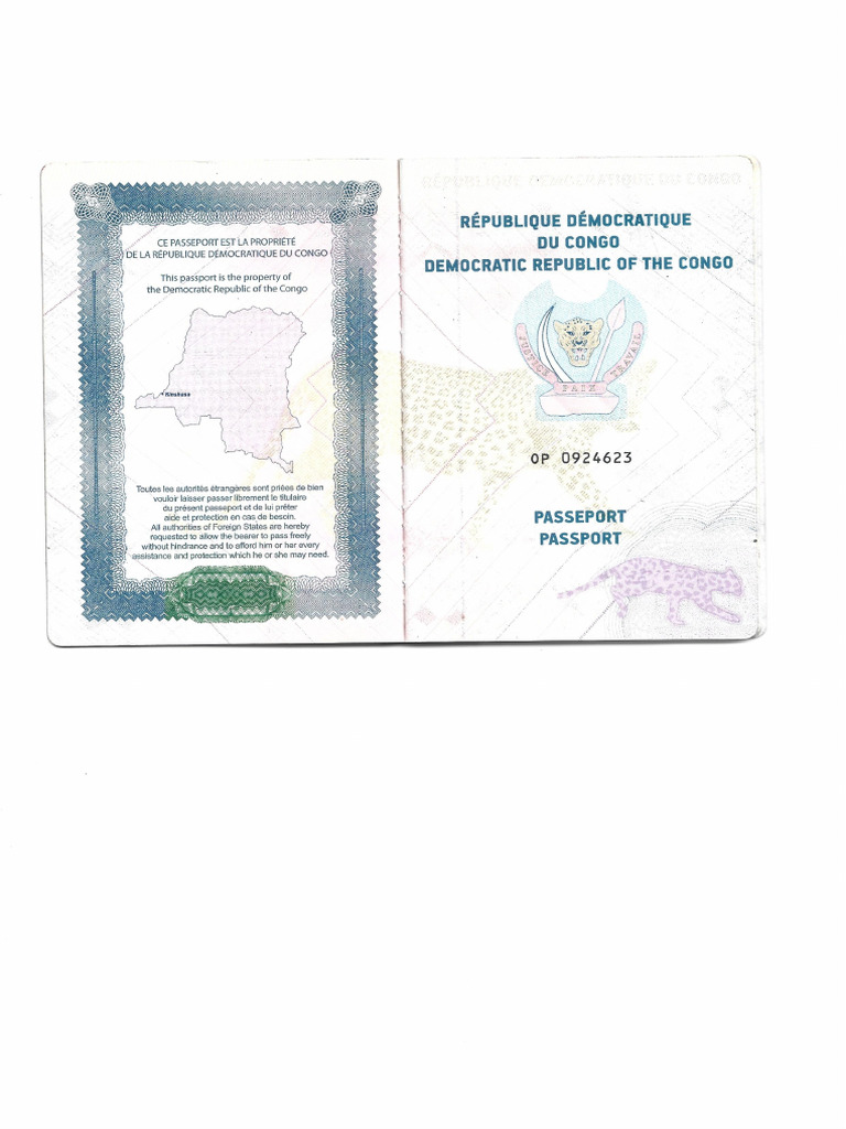 Candice Masengi | PDF