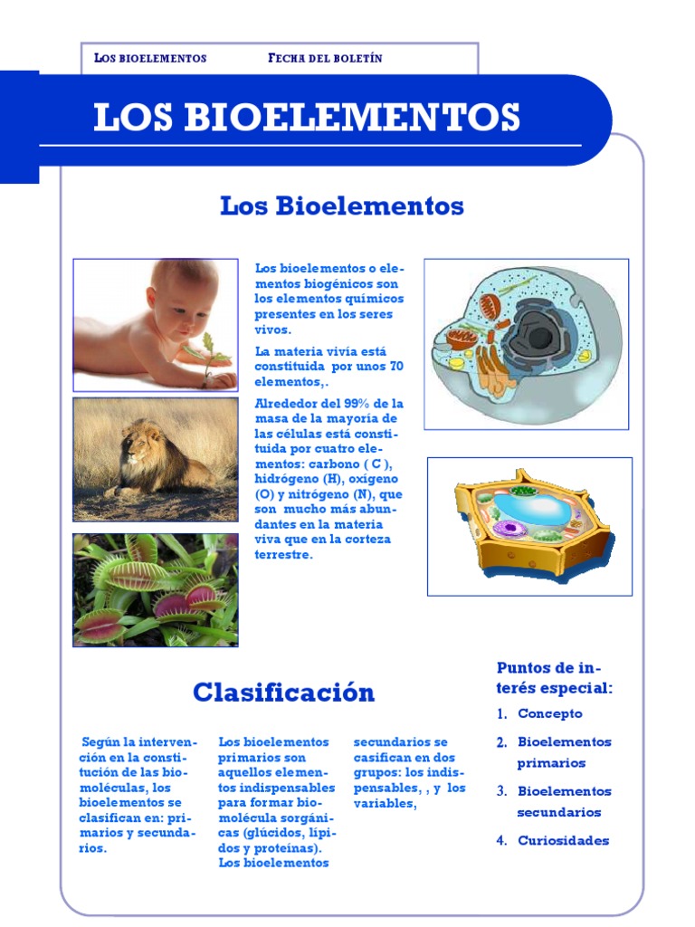 Los Bioelementos | PDF | Biomoléculas | Calcio