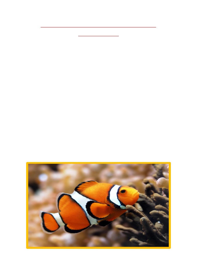 Creando Un Cuento Con Mi Imaginacion El Pez Juanito | PDF