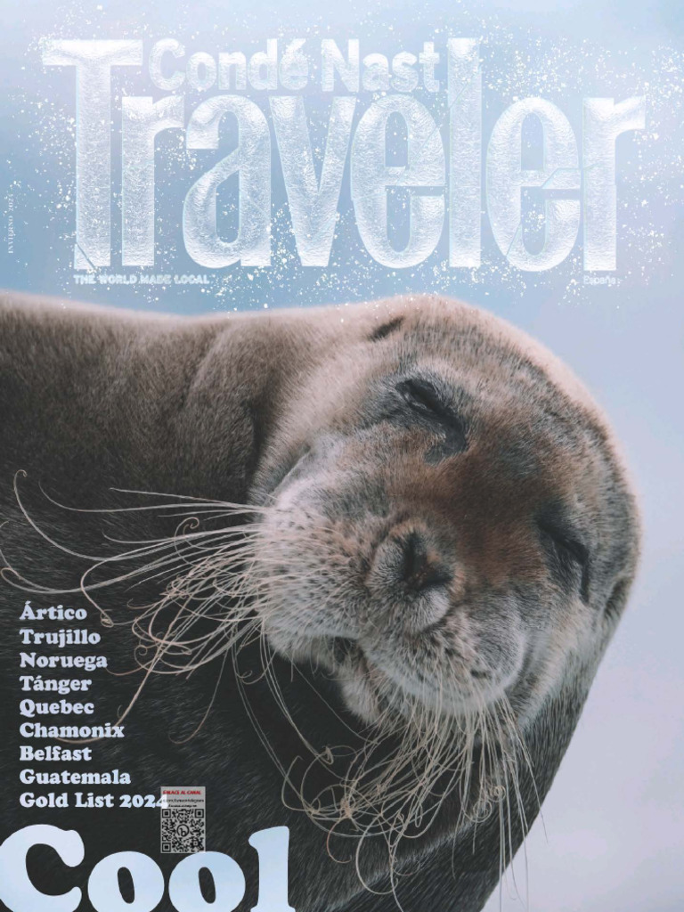 Traveler | PDF