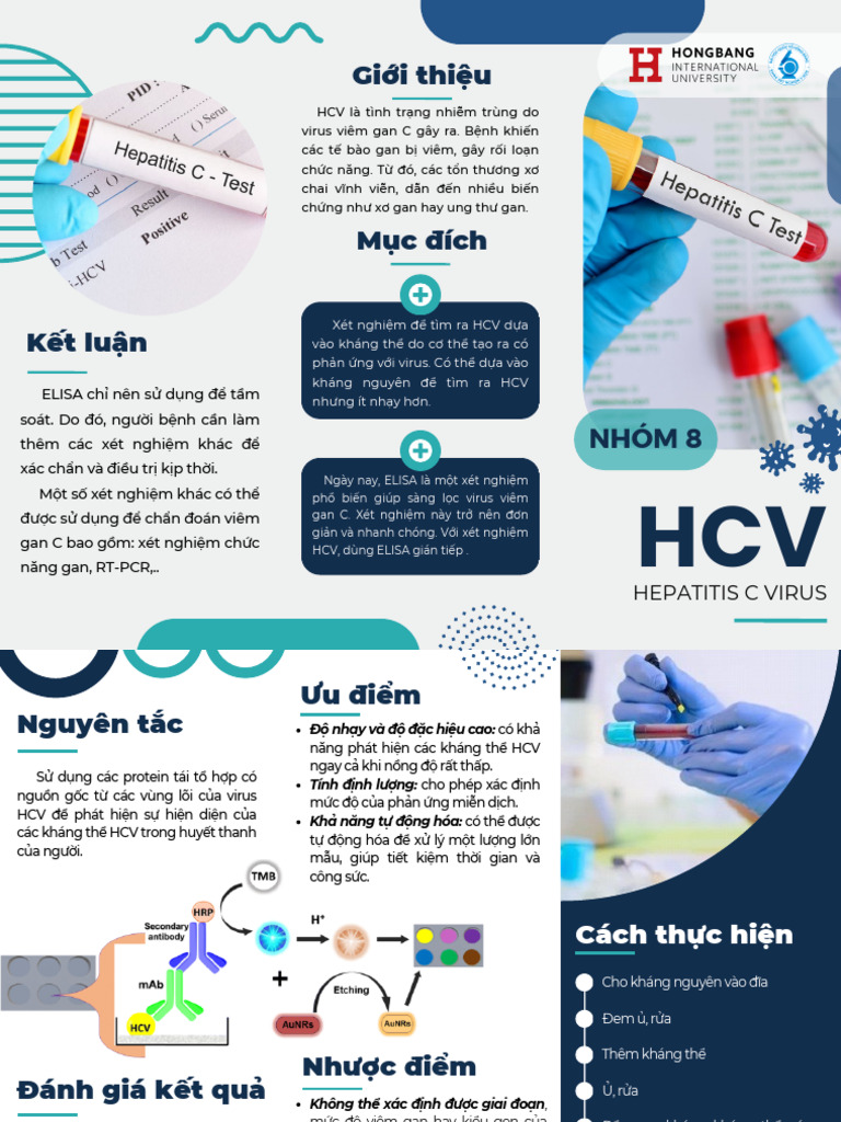 Nhóm 8 - Vi sinh - Chủ đề HCV | PDF