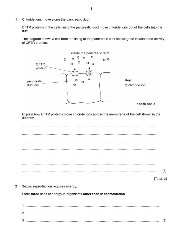 Active Transport worksheet | PDF