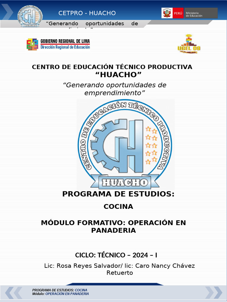 Silabo 2024-Ii - Nuevo Formato | PDF