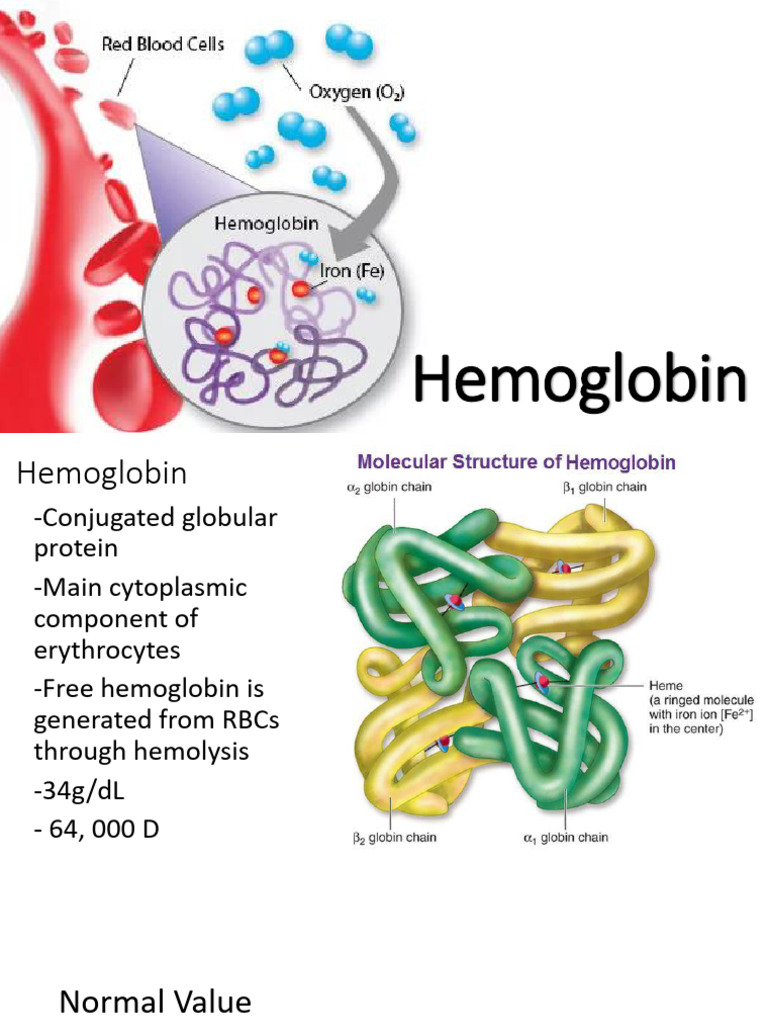 Hemoglobin | PDF