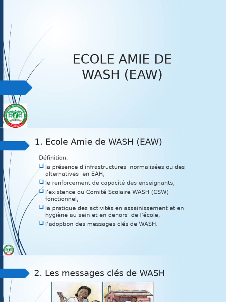 PPT Ecole Amie de Wash | PDF