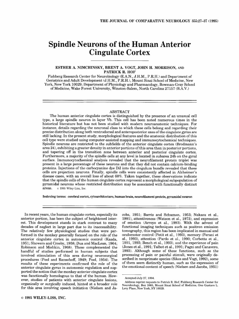 Nimchinsky 1995spindle Neuronshumanacc | PDF
