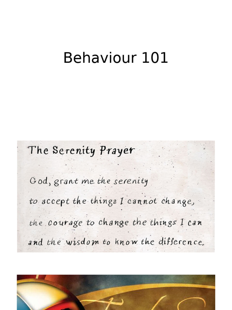 Behaviour 101 | PDF