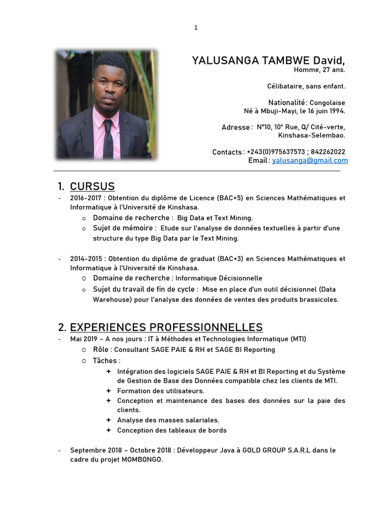 CV David Yalusanga 0122 | PDF