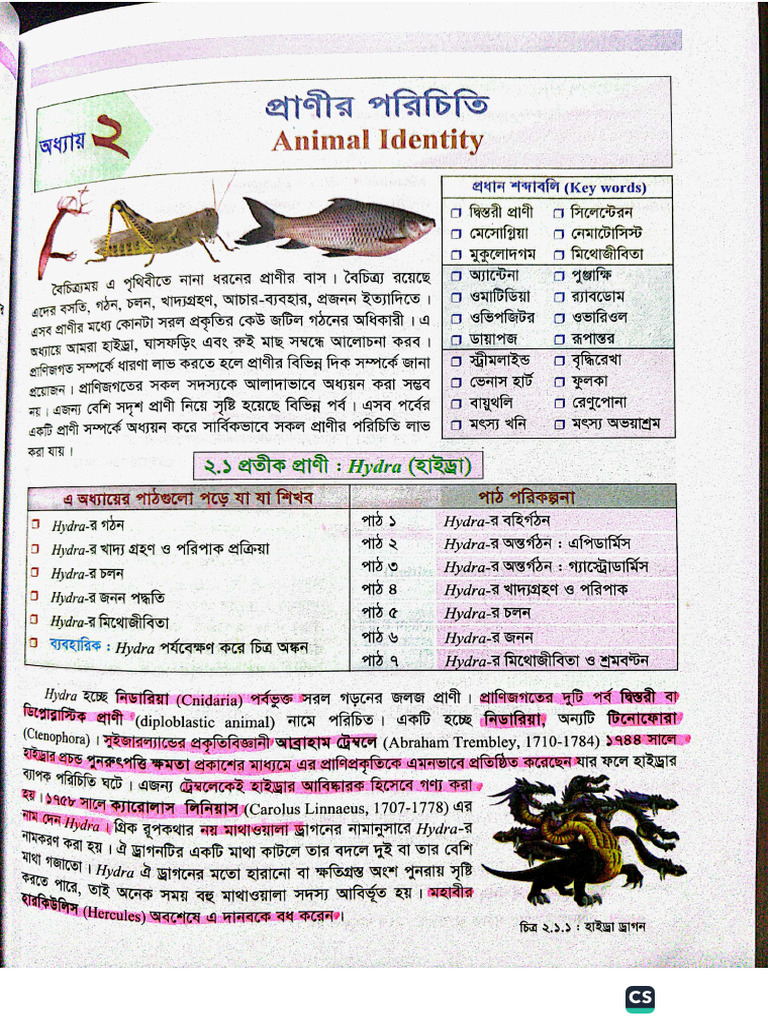 Zoology Chapter 2 Overview | PDF