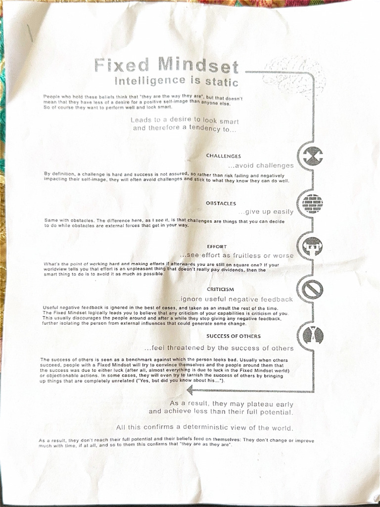 Fixed Mindset | PDF