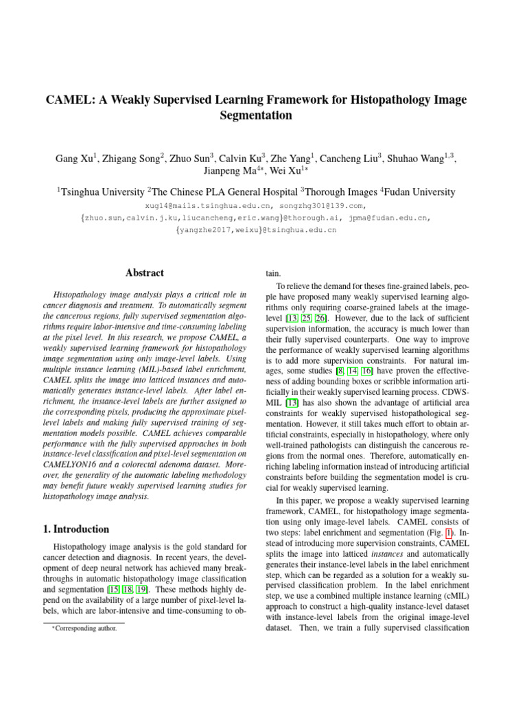 12 CAMEL Weakly Supervised Learning Framework Histopathology Image | PDF