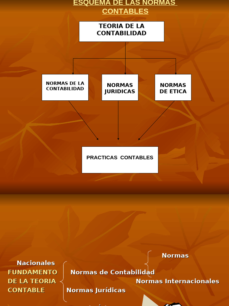 Normas Contables Nacionales | PDF