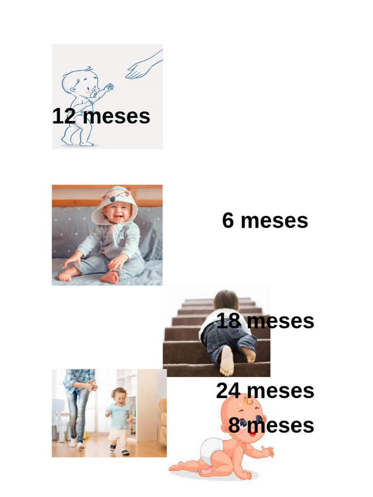 12 Meses | PDF