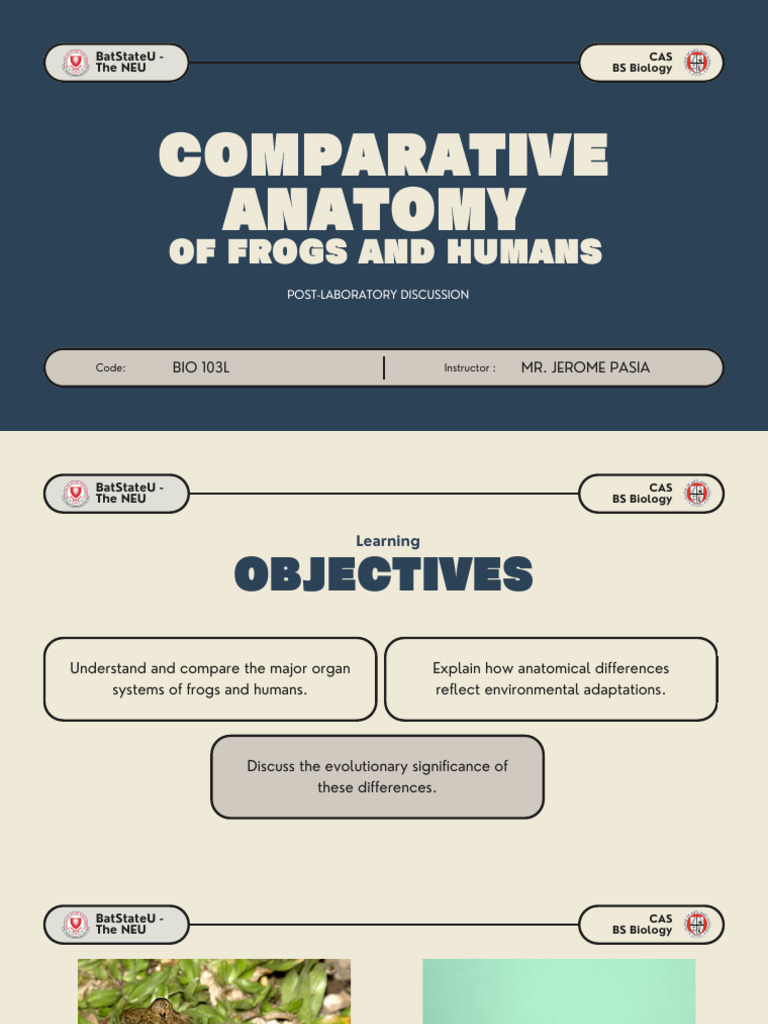 Comparative Anatomy | PDF