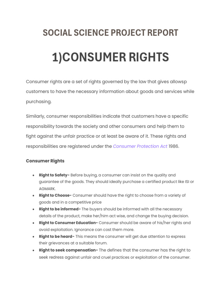 SS project 2024-25 | PDF