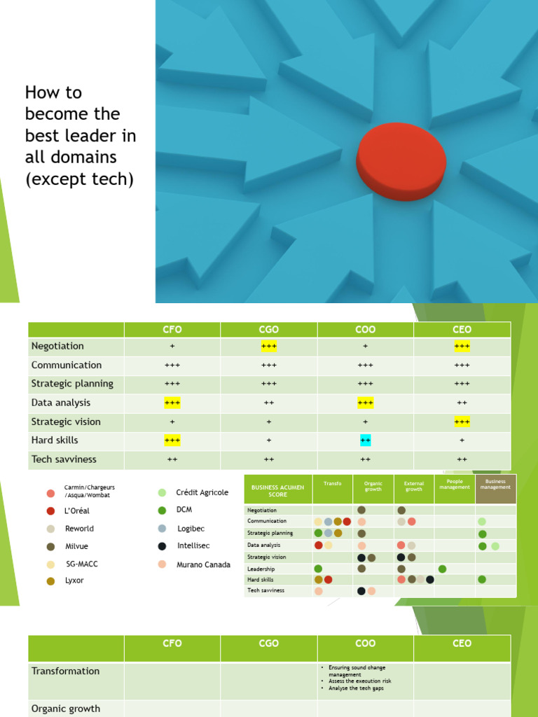 The Perfect CFO | PDF