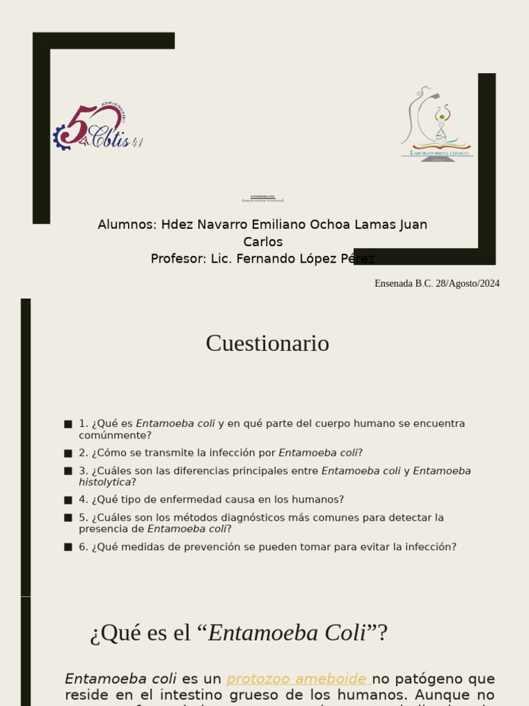 Entamoeba Coli Presentation | PDF