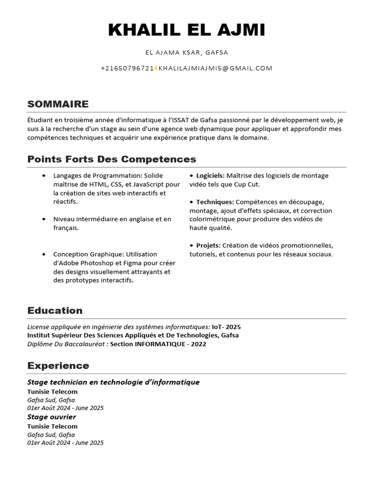 cv Khalil.docx | PDF