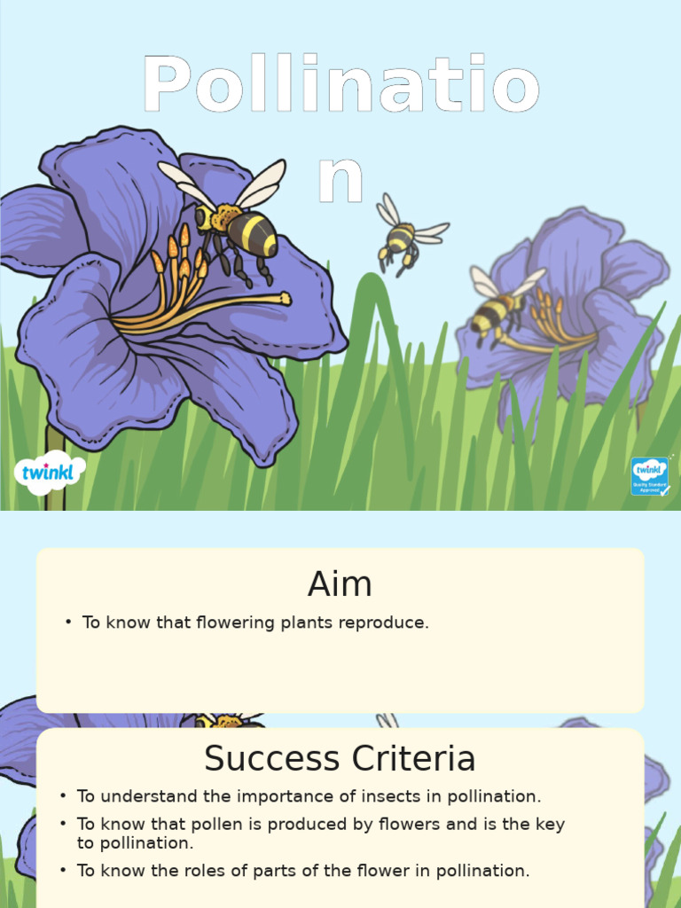 T TP 1626255635 Pollination Powerpoint Ver 2 | PDF