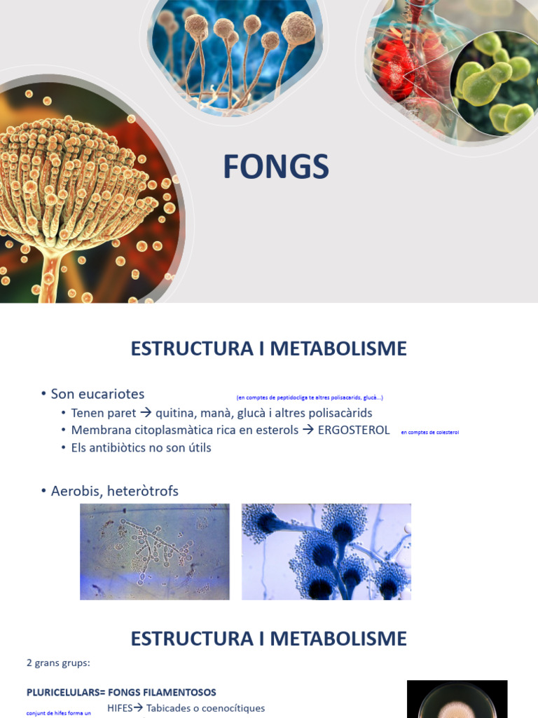 FONGS Def | PDF