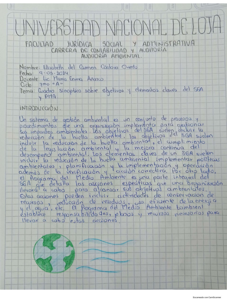 Cuadro Sinóptico Sobre Objetivos y Elementos Claves Del SGA y PMA. | PDF