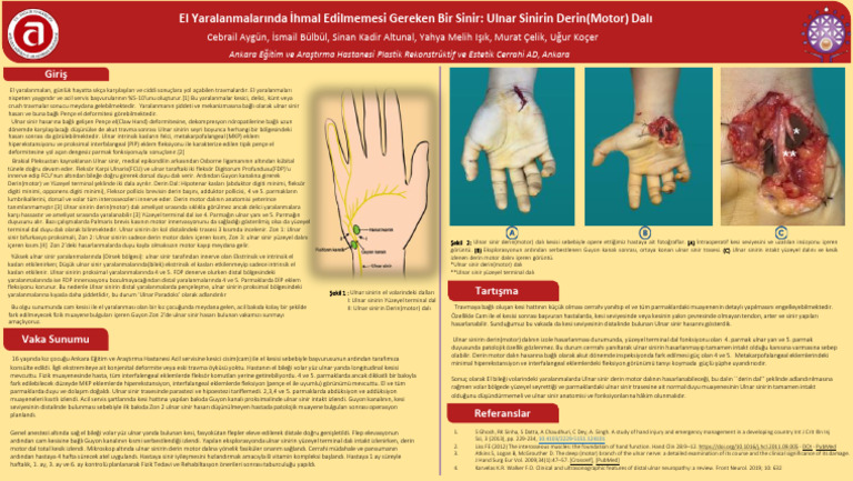 P-171, Cebrail AYGÜN-Poster | PDF