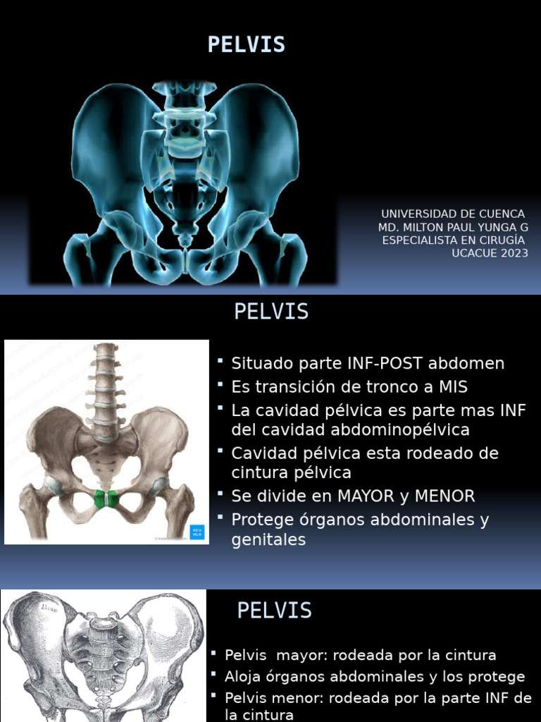 Tema 5 Pelvis Oseo Moore Pdf