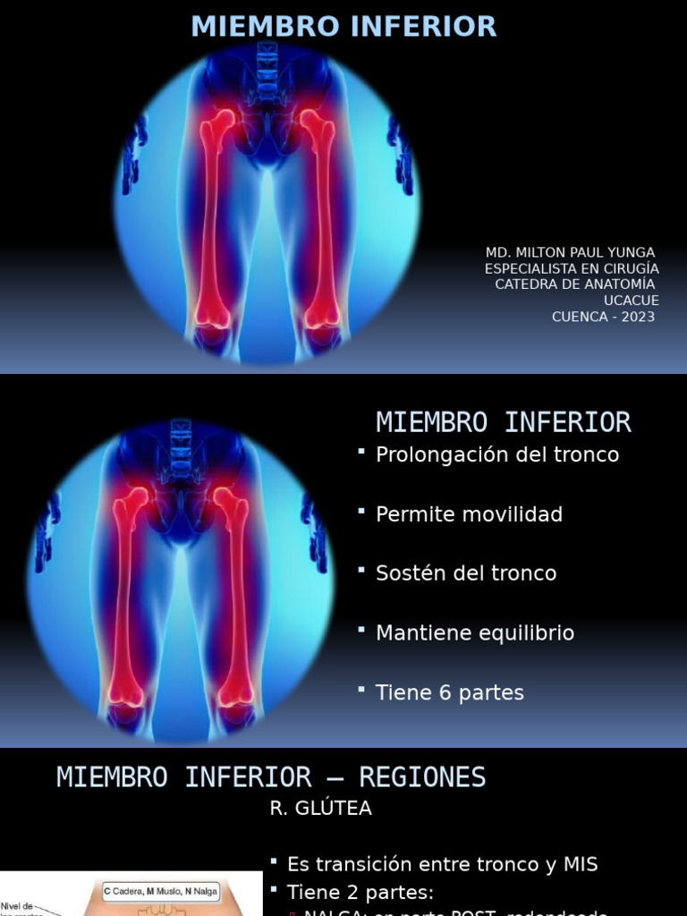 Tema 6 MIEMBRE INF MOORE | PDF