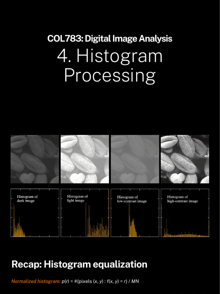 04 Histogram | PDF