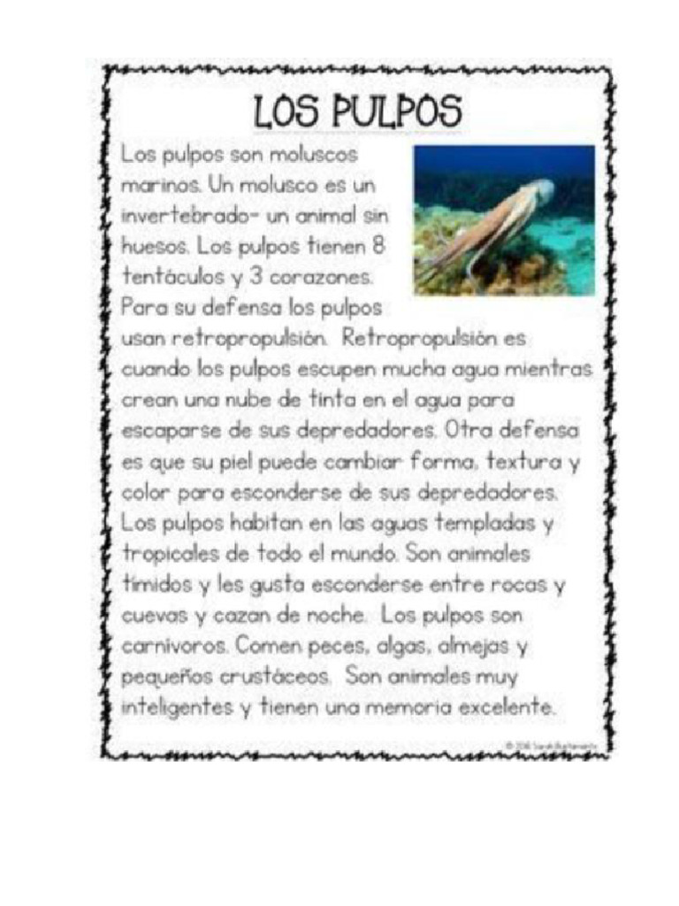 Los Pulpos | PDF
