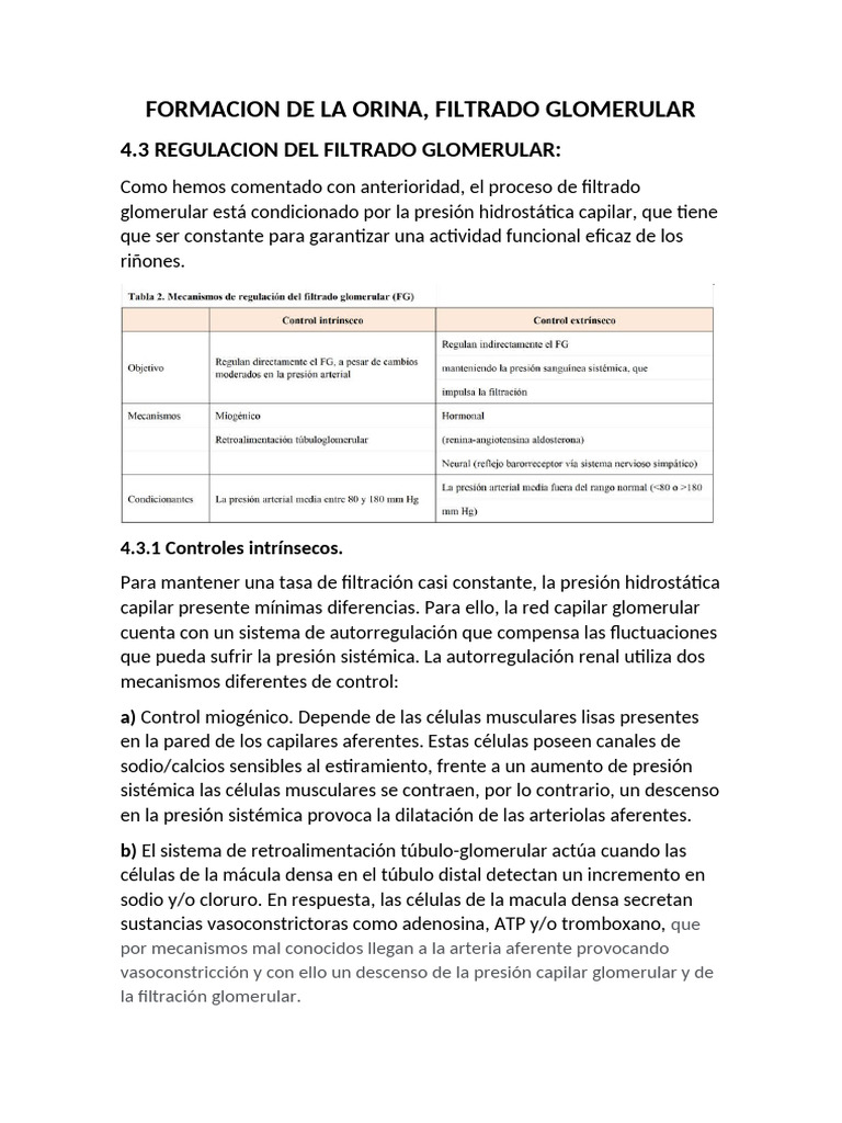 Filtrado Glomerular | PDF | Riñón