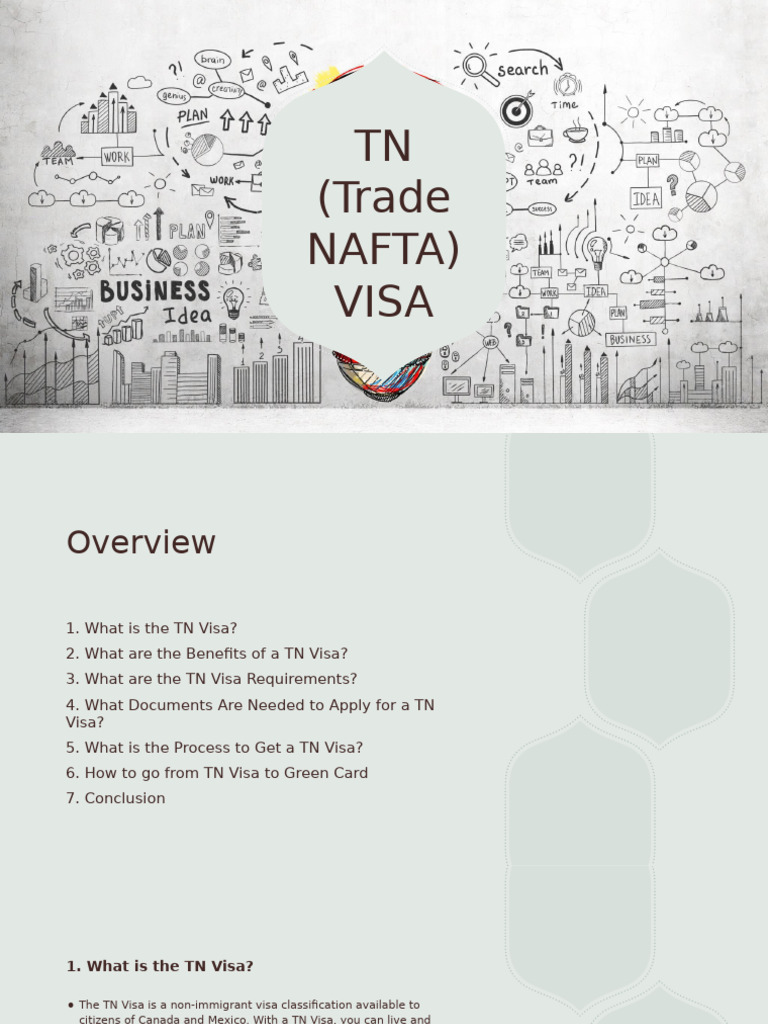TN Visa | PDF