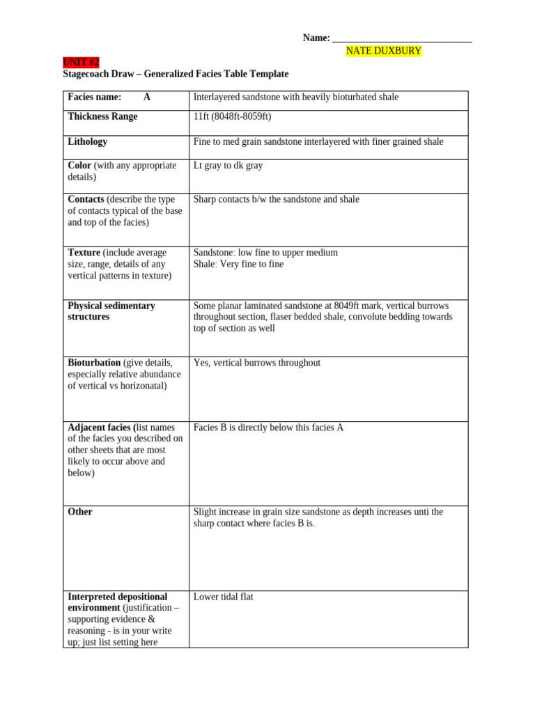 CORE Project Facies Table | PDF | Sedimentary Rock | Science & Mathematics