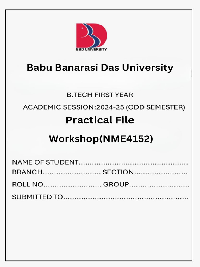 Babu Banarsi Das University | PDF