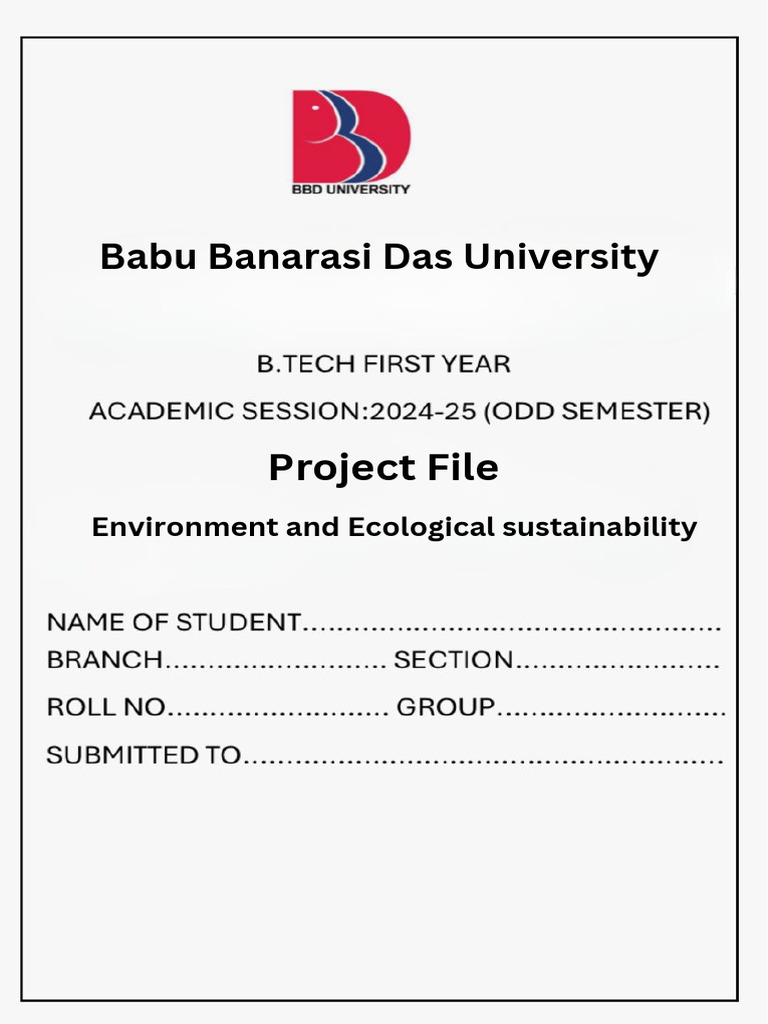 Babu Banarasi Das University | PDF