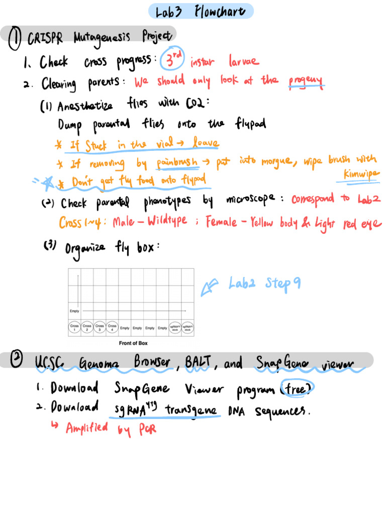 Lab3 Flowchart | PDF