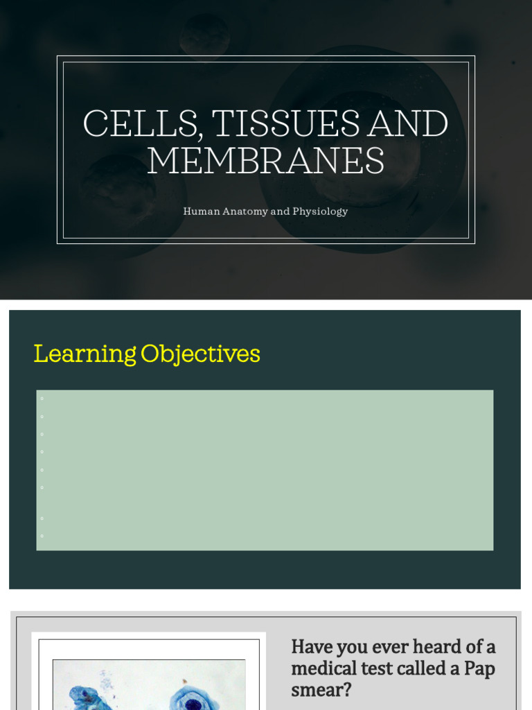 Cells, Tissues and Membranes Lesson | PDF