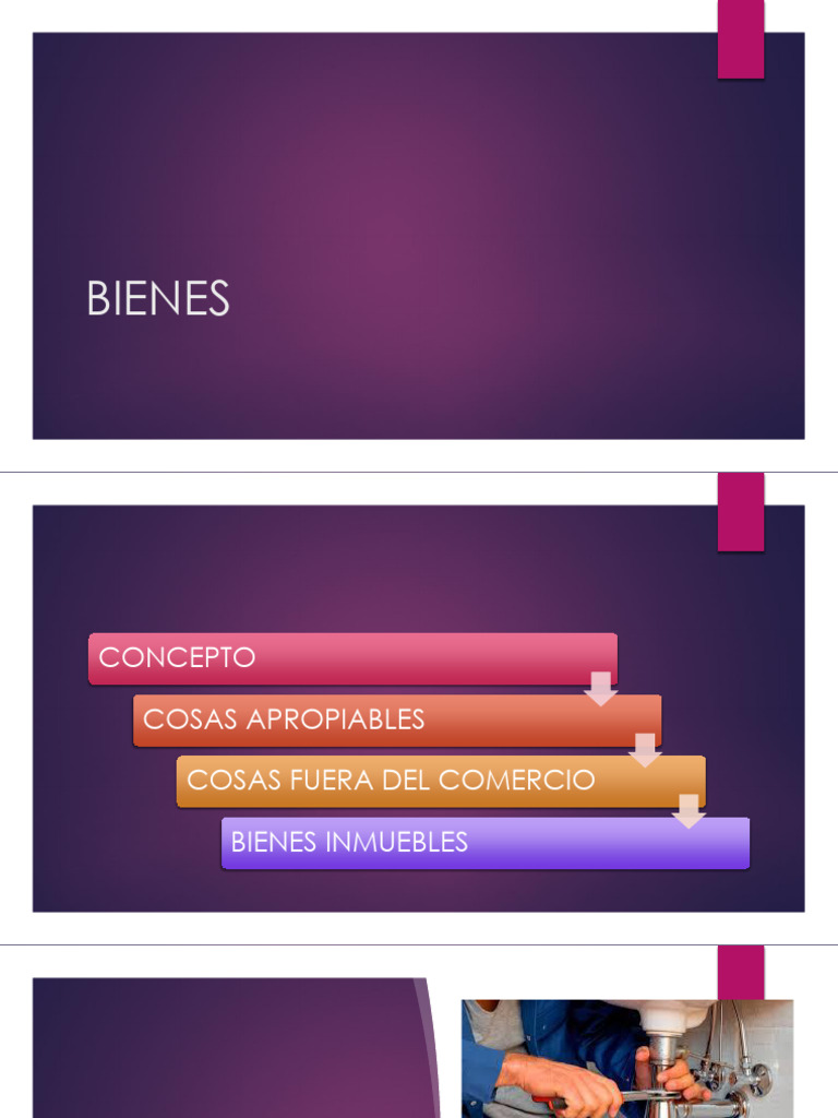 DERECHO CIVIL II BIENES | PDF