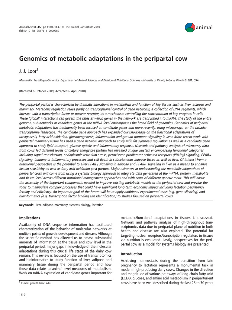 Loor - 2010 - Genomics - of - Metabolic - Adaptations | PDF