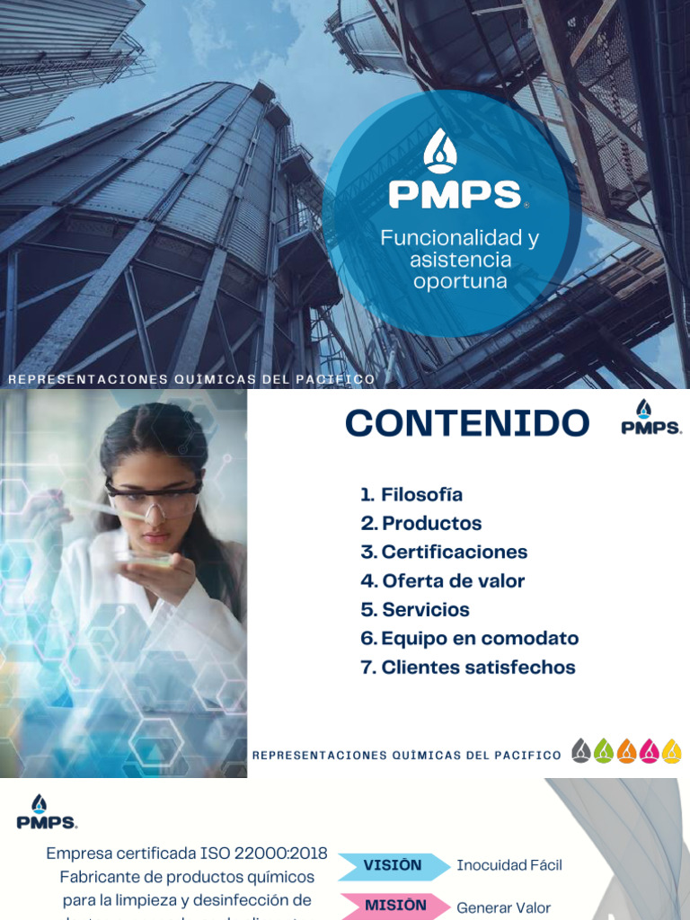 Presentación Corporativa PMPS 2024 | PDF
