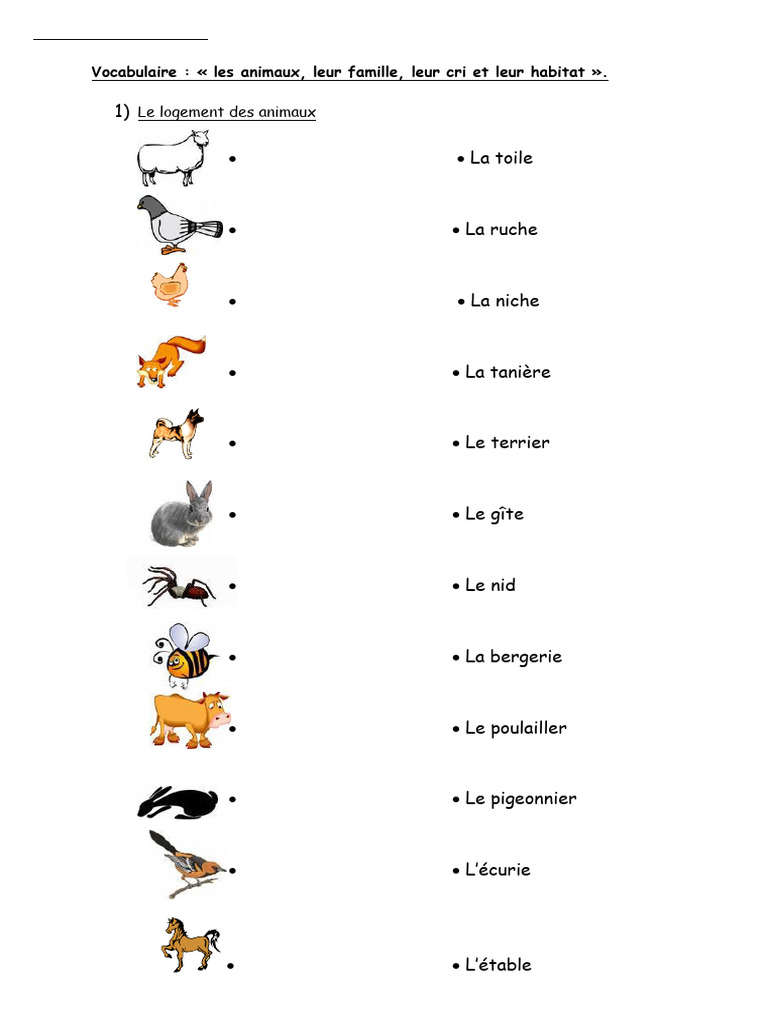 Activités Des Animaux | PDF
