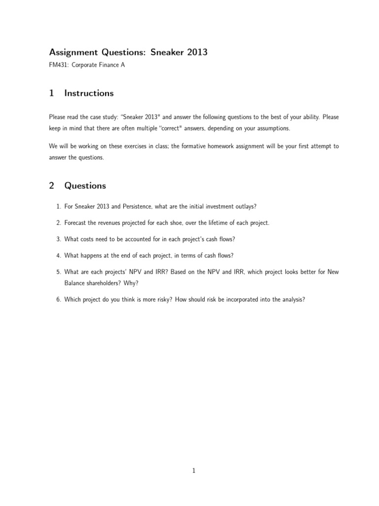 Sneaker 2013 Assignment | PDF