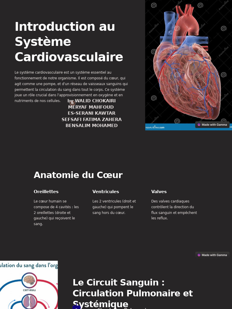 Introduction Au Systeme Cardiovasculaire | PDF