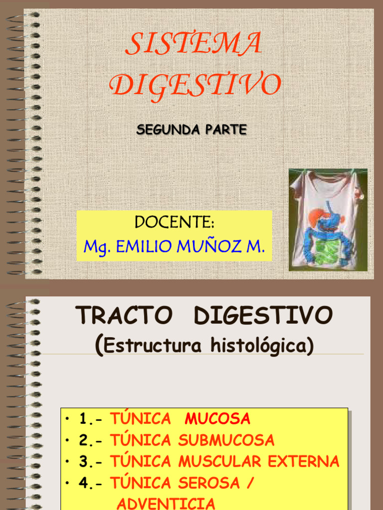 Tracto Digestivo. Faringe y Esófago | PDF