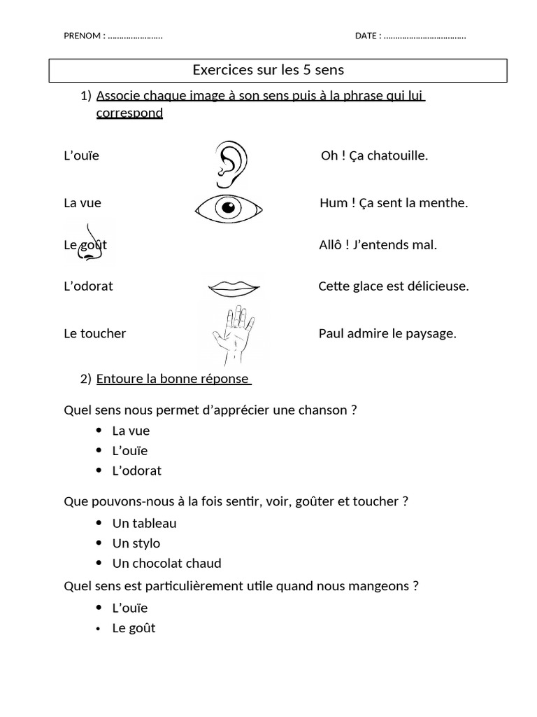 P2 Exercices 5 Sens | PDF