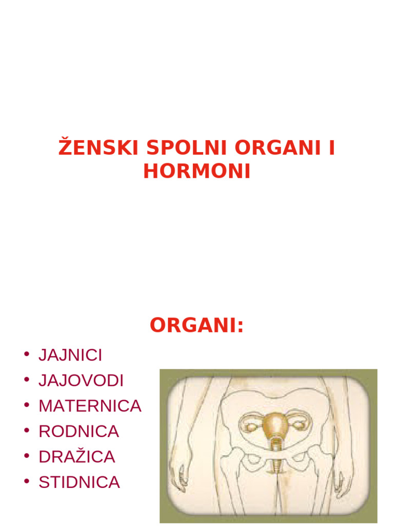 B. SPOLNI SUSTAV - Ženski - Loomen | PDF