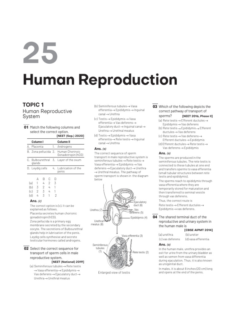 Human Reproduction | PDF
