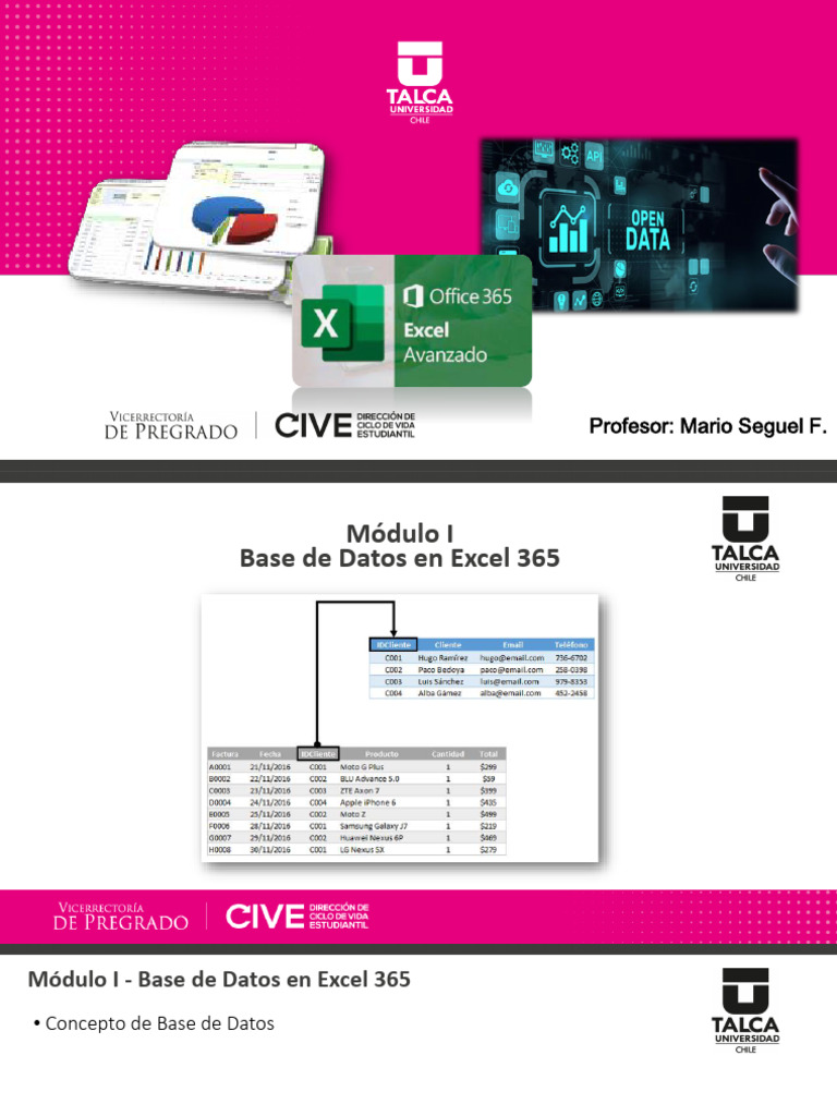 Base de Datos Excel | PDF