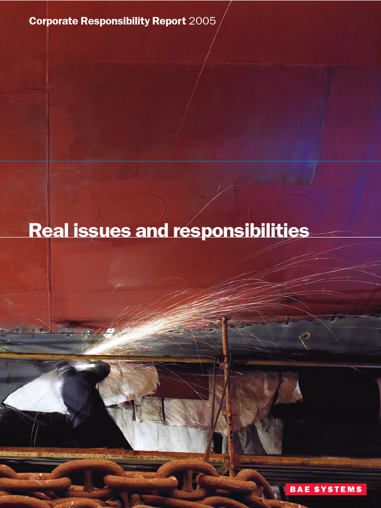 Real Issues and Responsibilities: Corporate Responsibility Report | PDF
